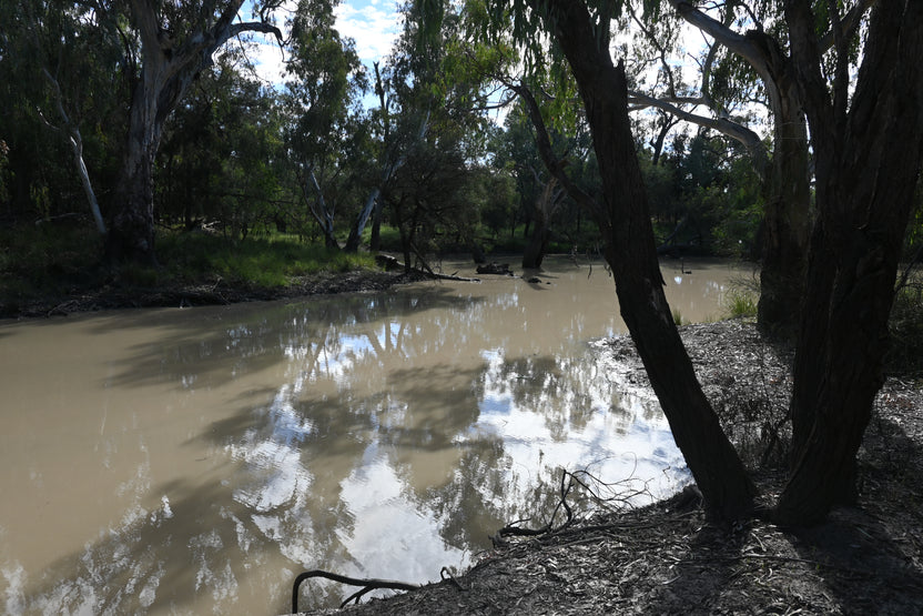 Resources | Documents, Guides & Downloads – Bigambul Native Title ...