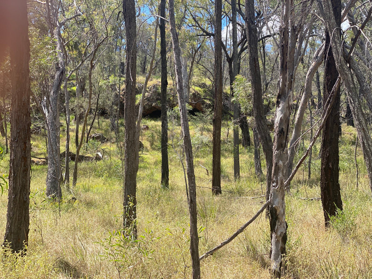 Native Title | Recognition, Rights & Timeline – Bigambul Native Title ...
